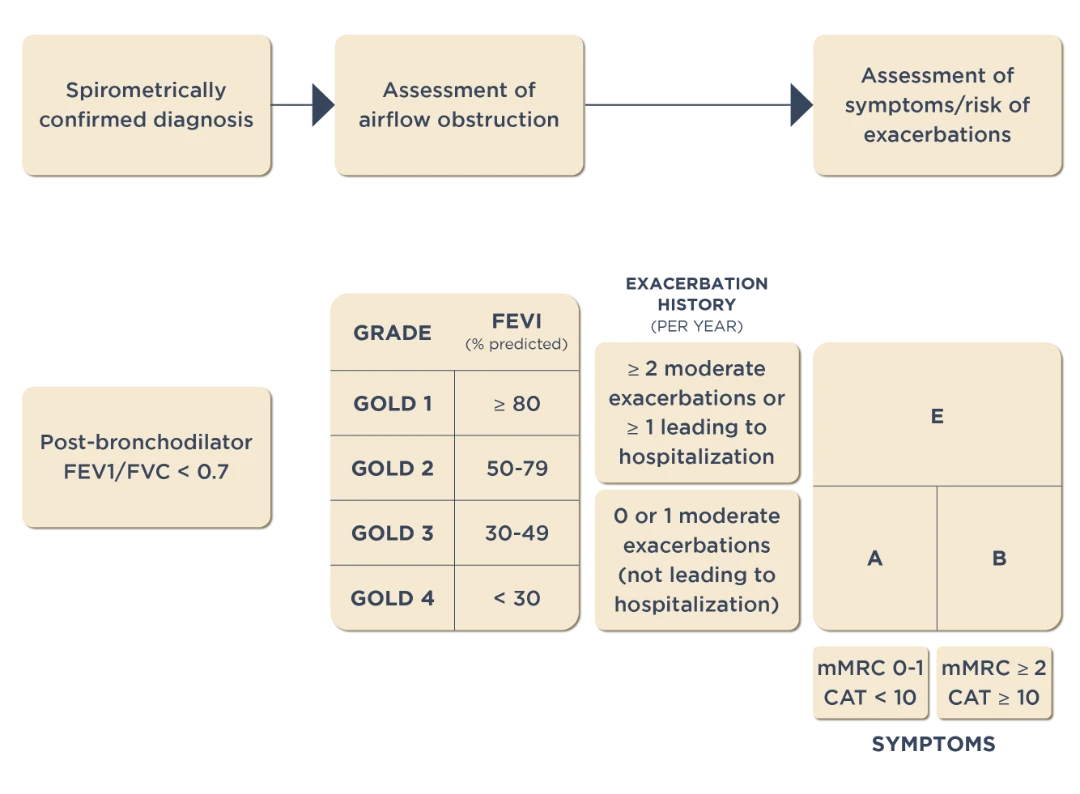 GOLD Treatment Guidelines for COPD│Campus Sanofi