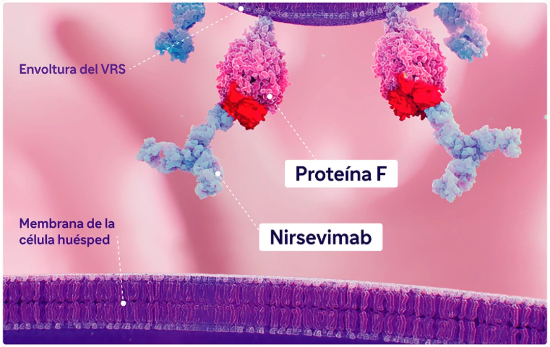 Beyfortus® (Nirsevimab)