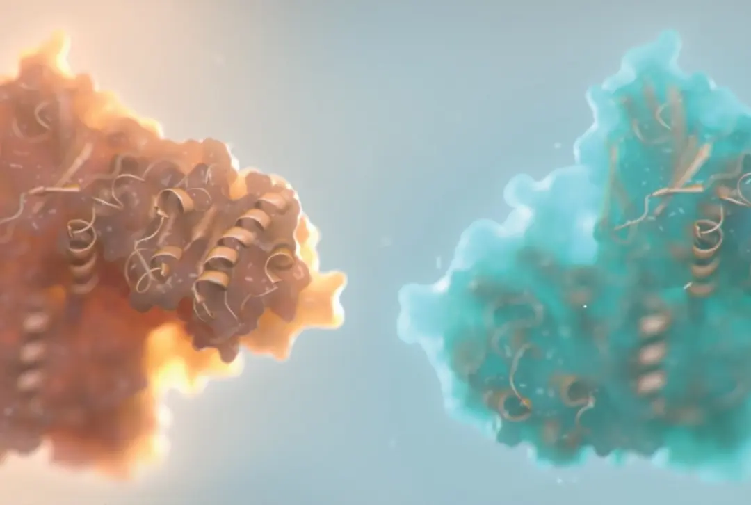 Fabrazyme® (agalsidase beta)