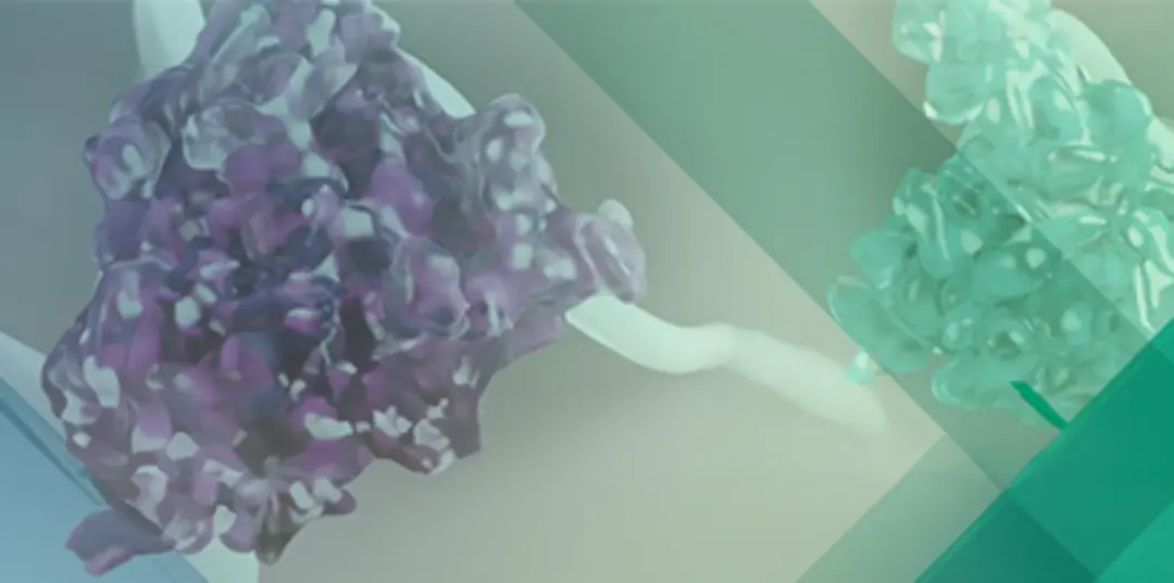 Expert Insights on advancing the conversation on disease modification ...