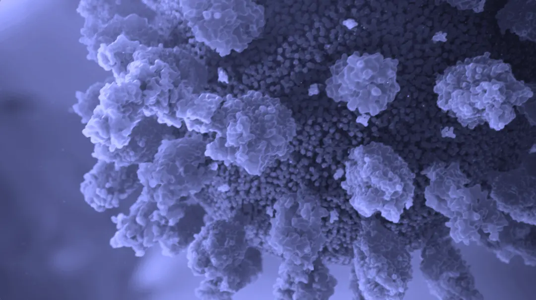 Understanding viral shedding | For US HCPs