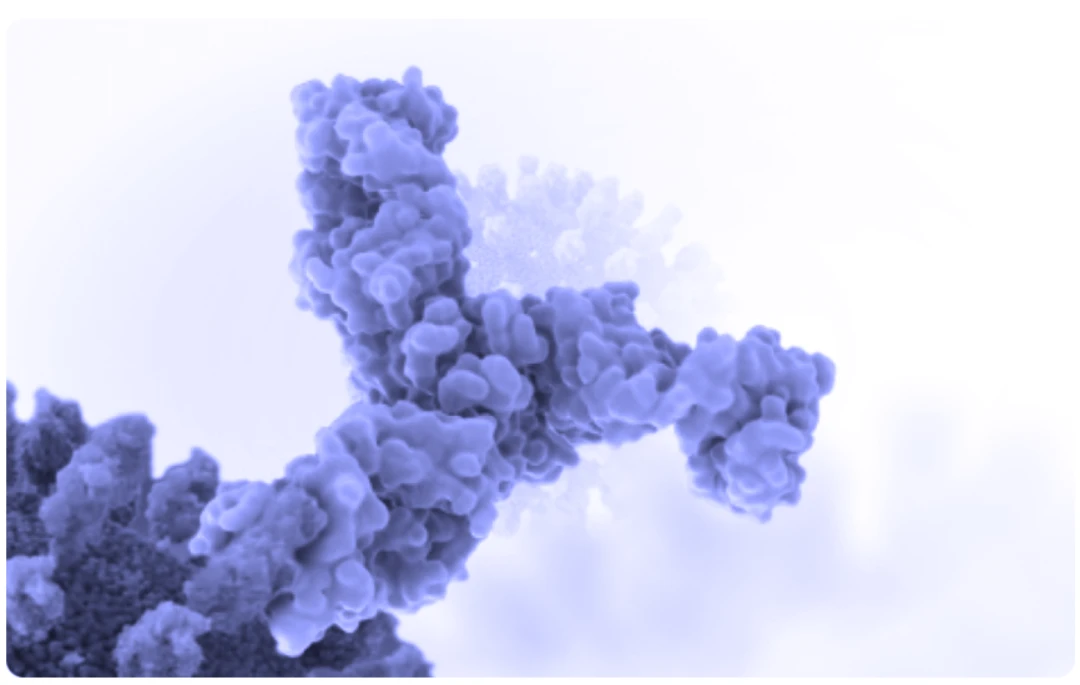 RSV Transmission & Incubation Period