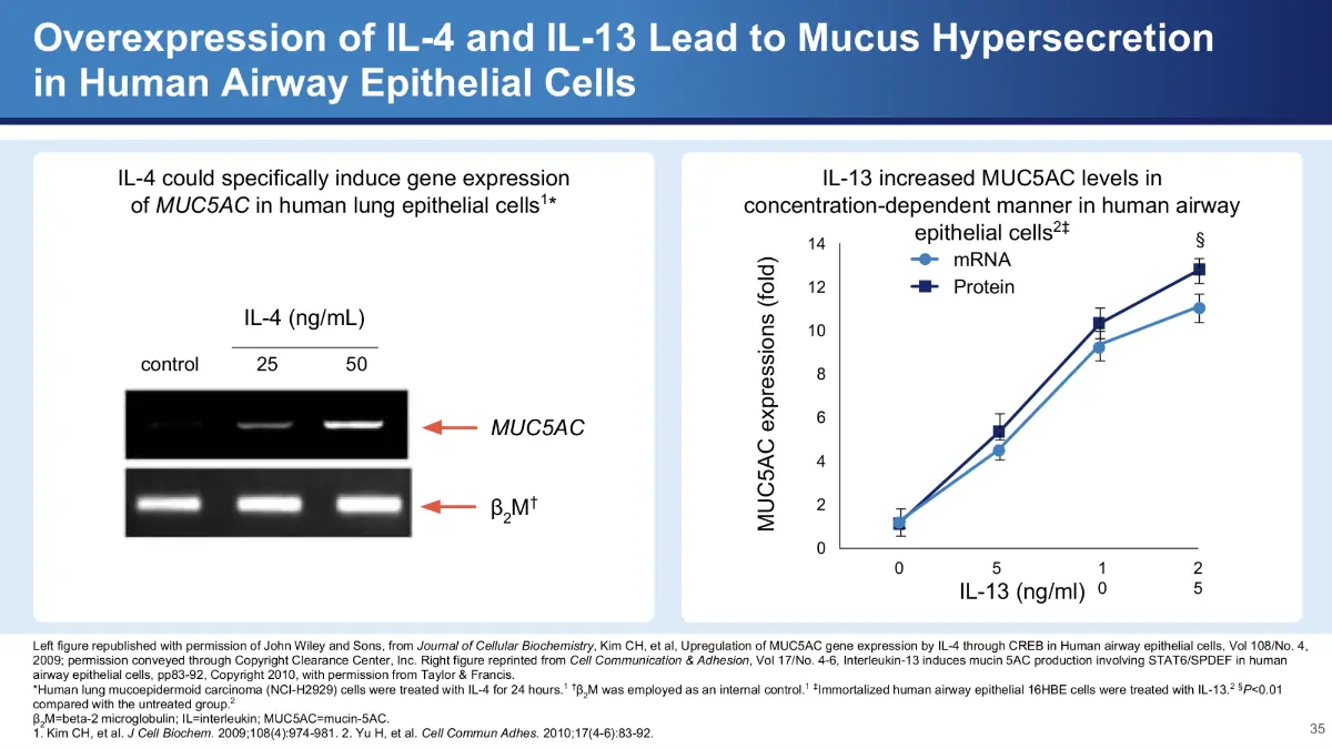 Expert Talks Type 2 Inflammation in COPD | Campus Sanofi