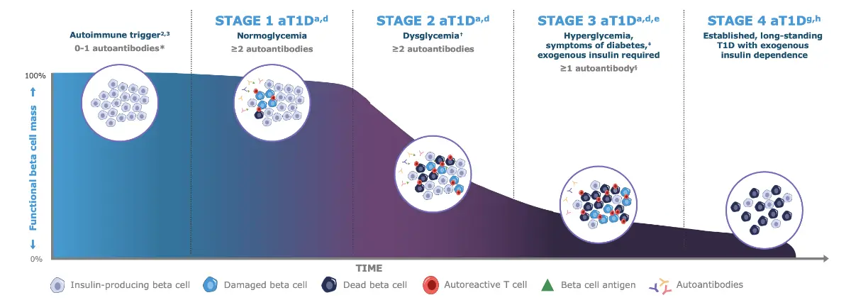 Detecteerbaarheid van Autoimmune TYPE-1-DIABETES | Sanofi Pro Campus ...