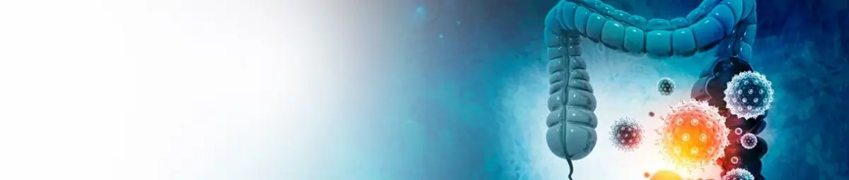 Tratamiento adyuvante del cáncer de colon estadios II-III