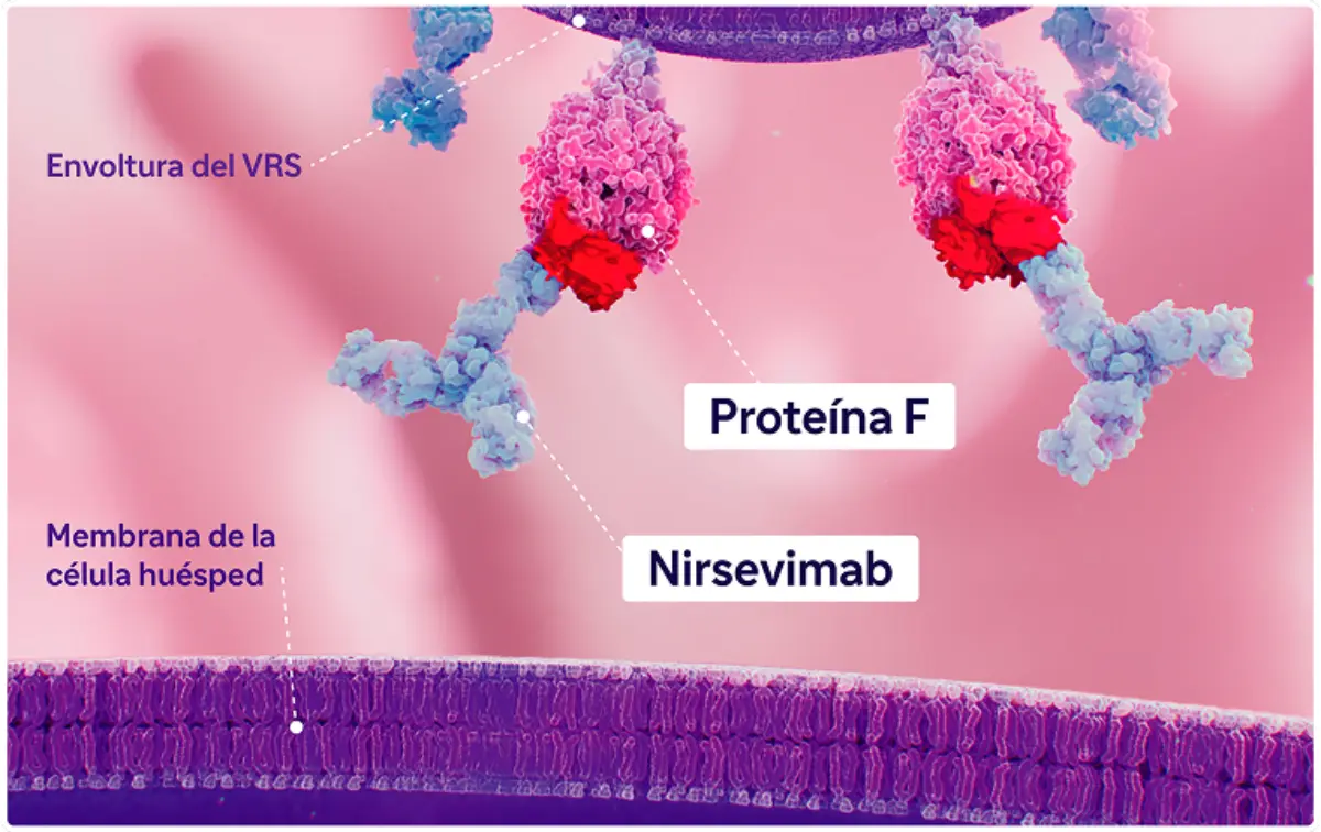 Beyfortus® (Nirsevimab)