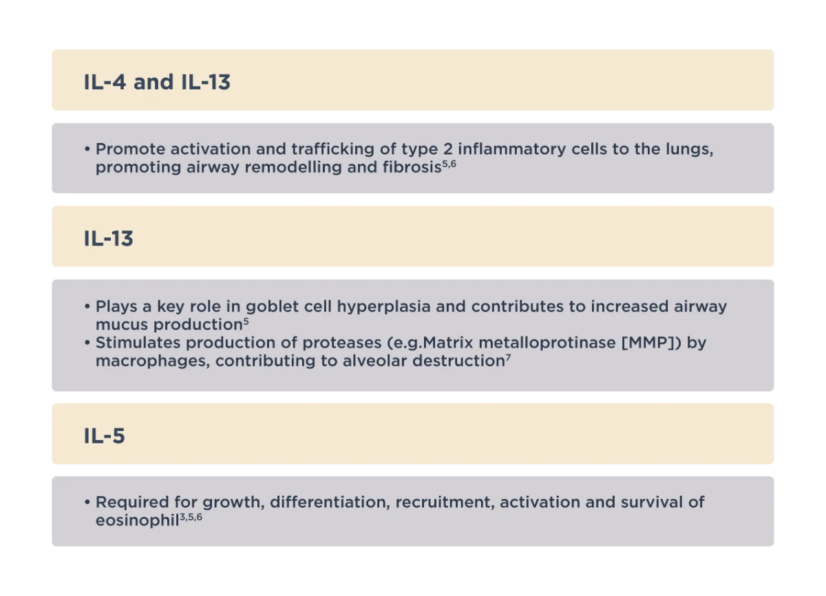 Inflammatory pathways in COPD impacting disease pathobiology and ...