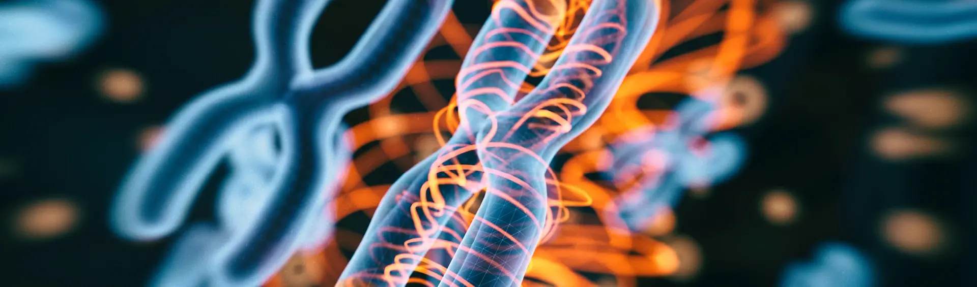 Morbus Gaucher Definition