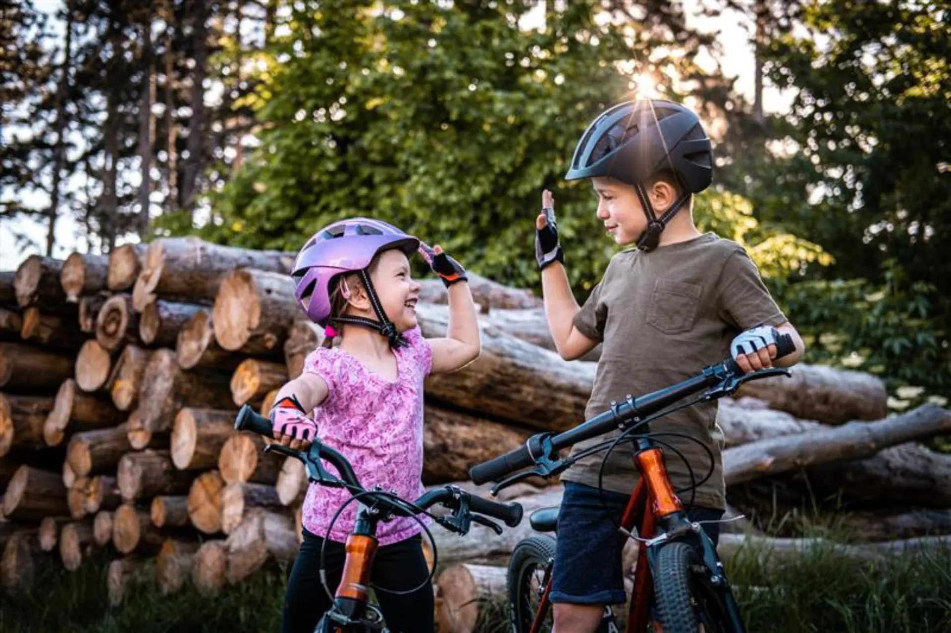 Role of autoantibodies in autoimmune type 1 diabetes | Campus Sanofi