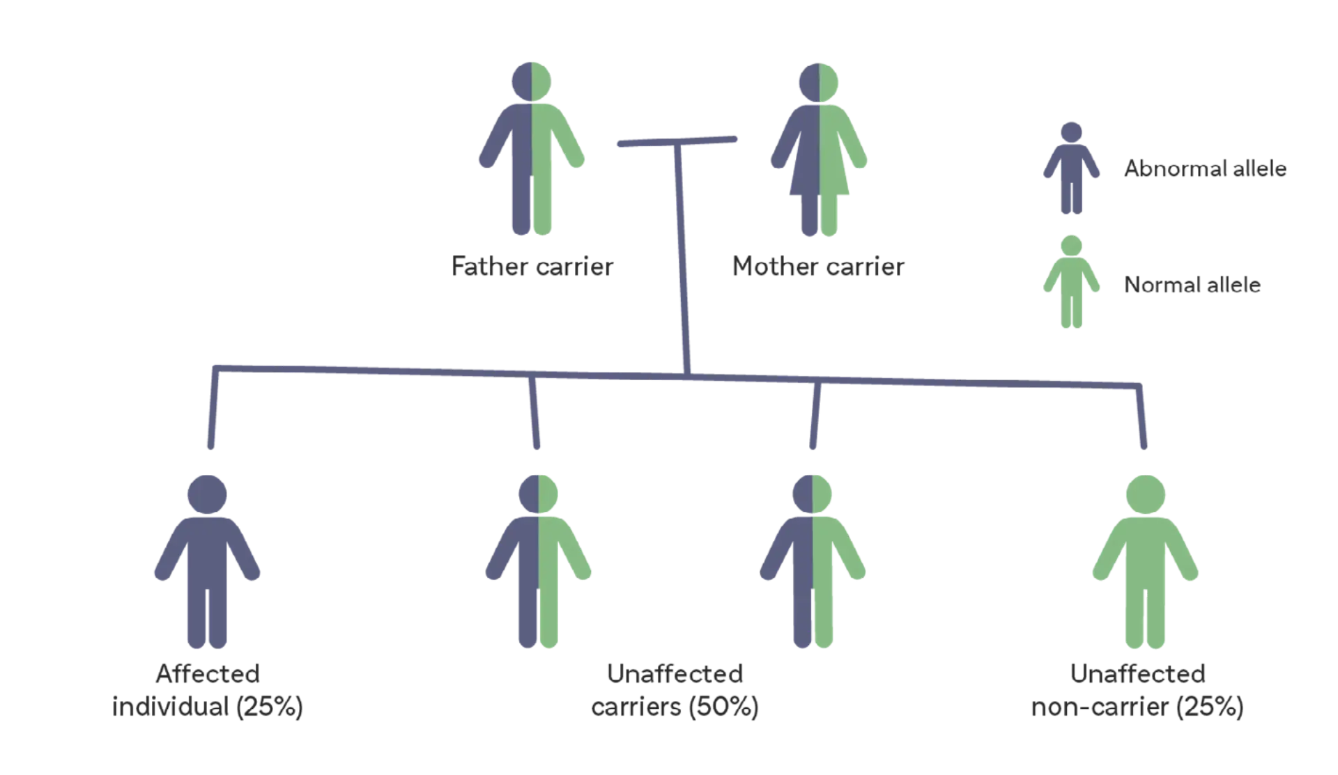 What is Pompe disease - Sanofi Campus UK