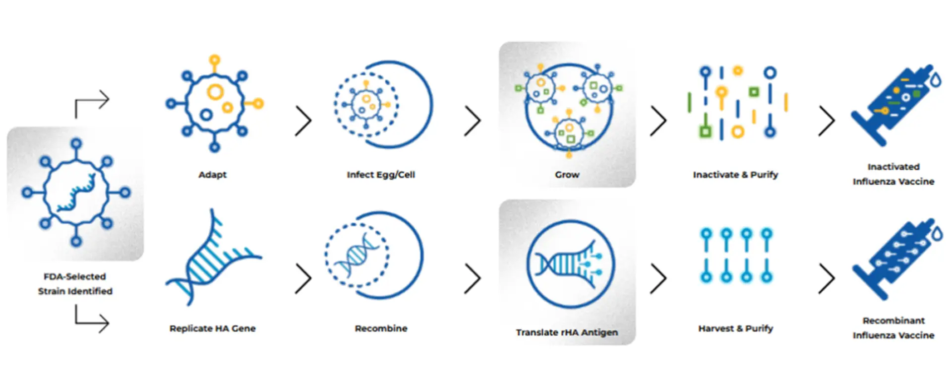 Flublok® (Influenza Vaccine) for Individuals 9+ years | Sanofiflu
