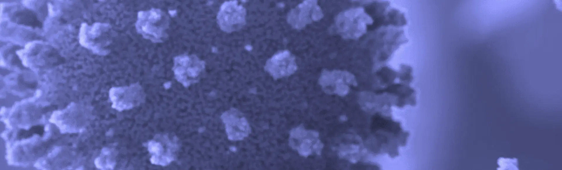 Respiratory Syncytial Virus (RSV) Pathophysiology