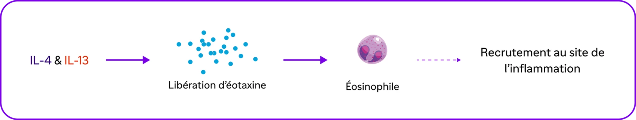 La physiopathologie de la dermatite atopique
