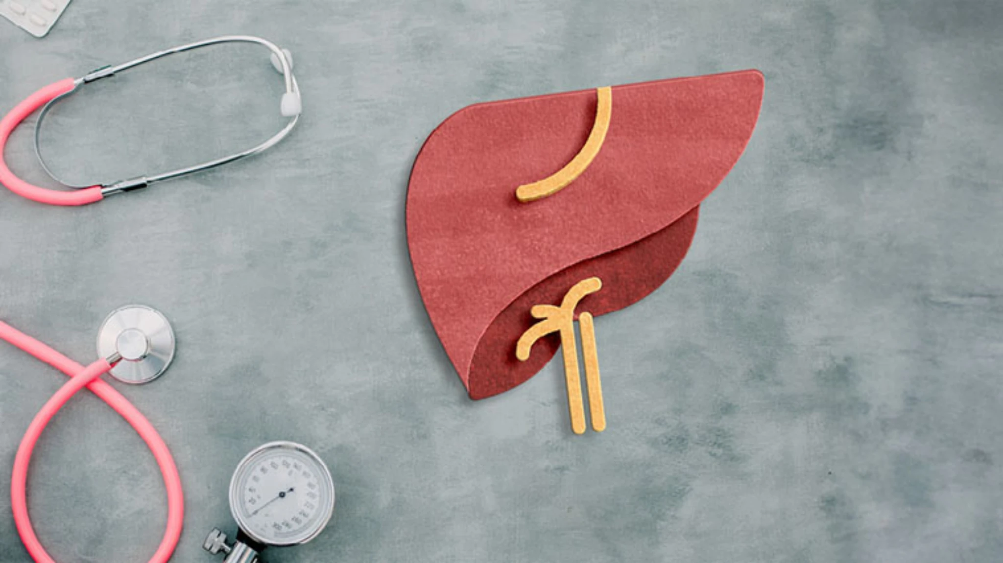 ASMD (Acid Sphingomyelinase Deficiency) - Informations pour les ...