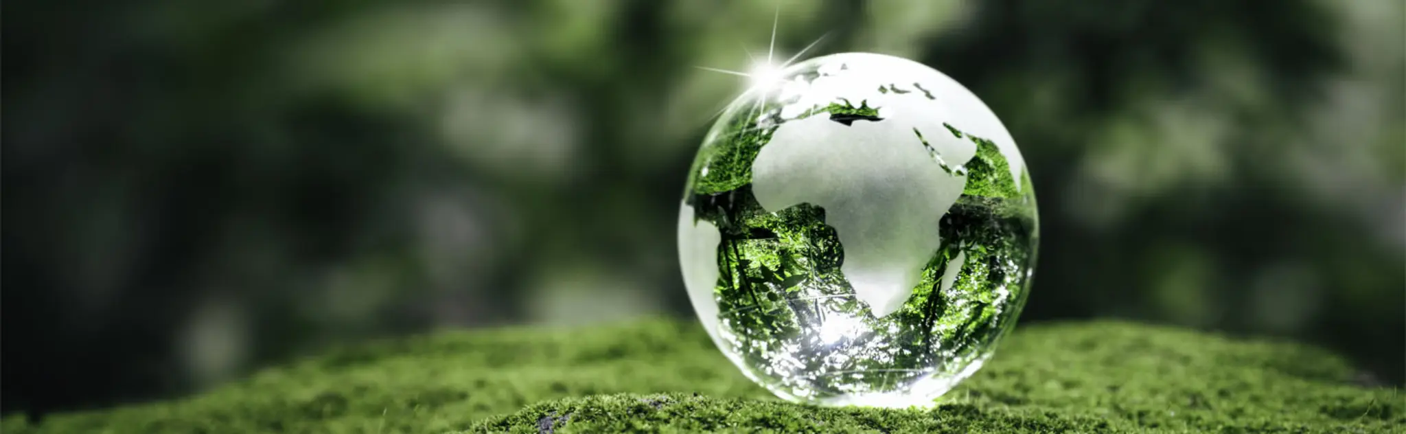 Notre engagement pour l'environnement