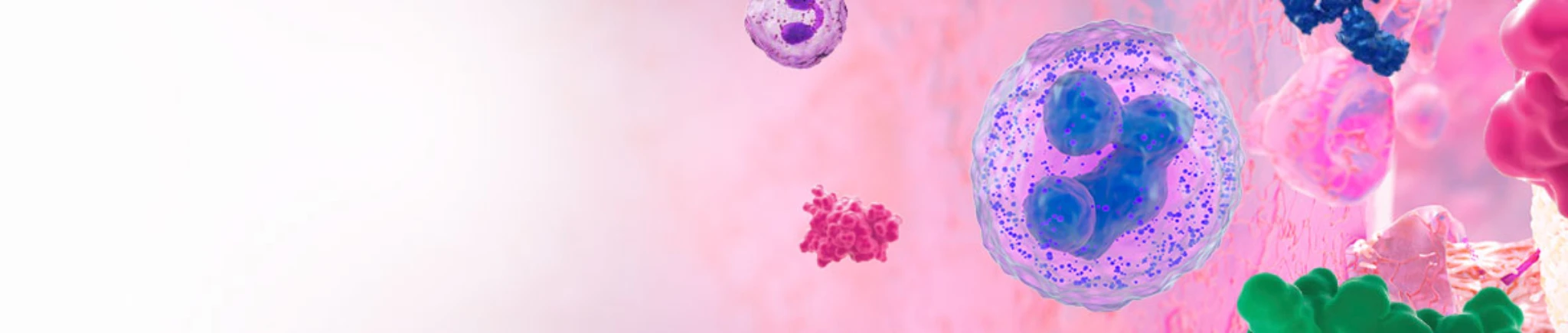 Eczema de contacto irritativo (ECI)