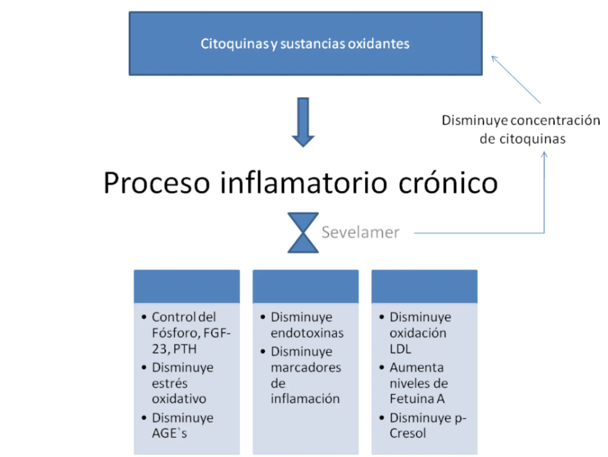 Inflamación y Enfermedad Renal Crónica: un círculo vicioso