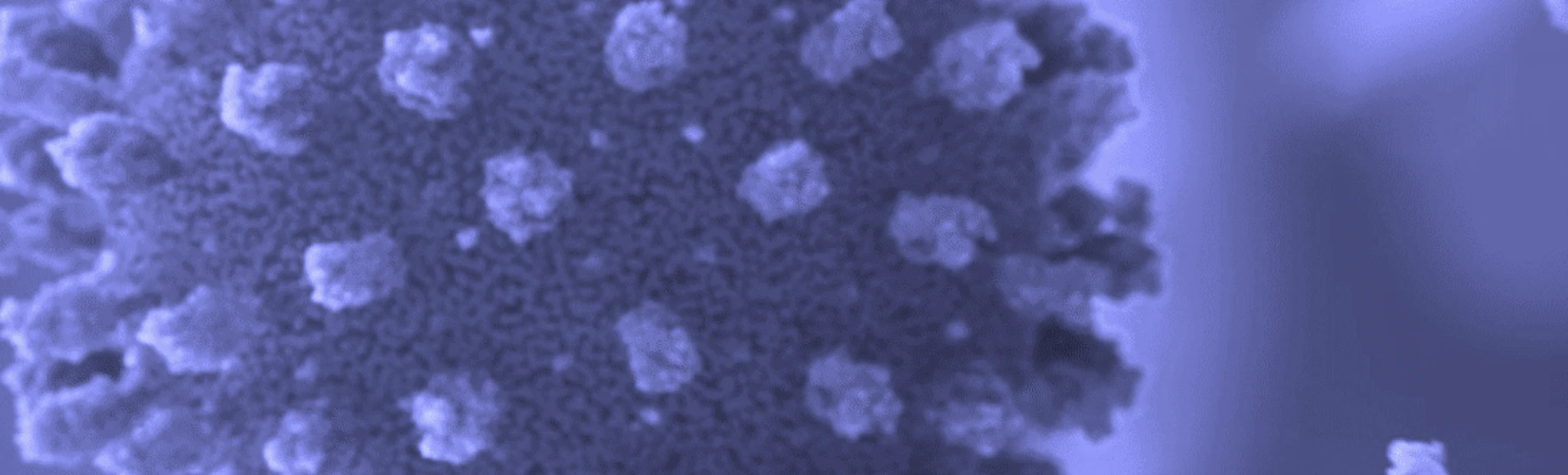 Respiratory Syncytial Virus (RSV) Pathophysiology