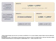 GOLD Treatment Guidelines for COPD│Campus Sanofi