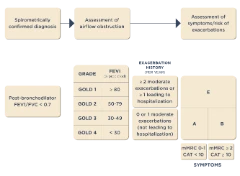 GOLD Treatment Guidelines for COPD│Campus Sanofi