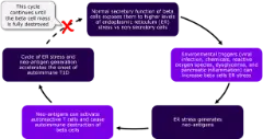 Pathophysiology of autoimmune type 1 diabetes | Campus Sanofi
