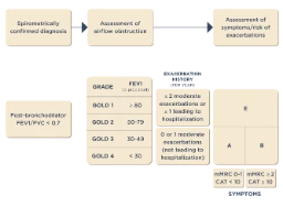 GOLD Treatment Guidelines for COPD│Campus Sanofi