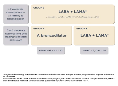 GOLD Treatment Guidelines for COPD│Campus Sanofi
