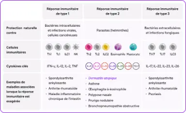 La physiopathologie de la dermatite atopique