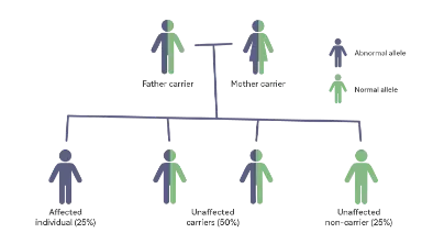 What is Pompe disease - Sanofi Campus UK