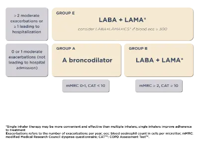 GOLD Treatment Guidelines for COPD│Campus Sanofi