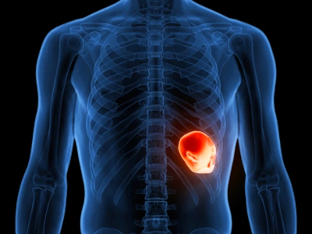 ASMD: el camino hacia su diagnóstico