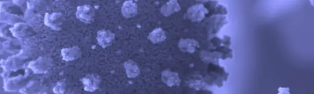 Respiratory Syncytial Virus (RSV) Pathophysiology