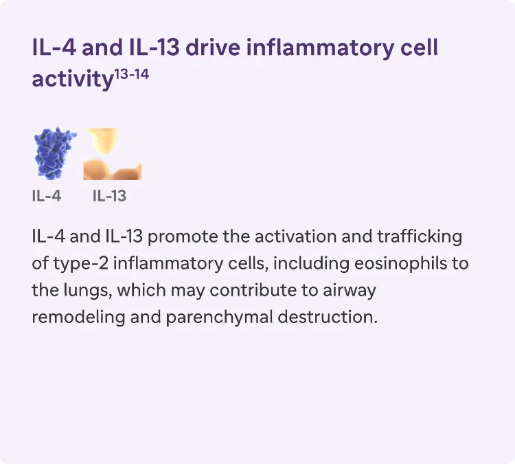 Role of type 2 inflammation in COPD | Campus Sanofi
