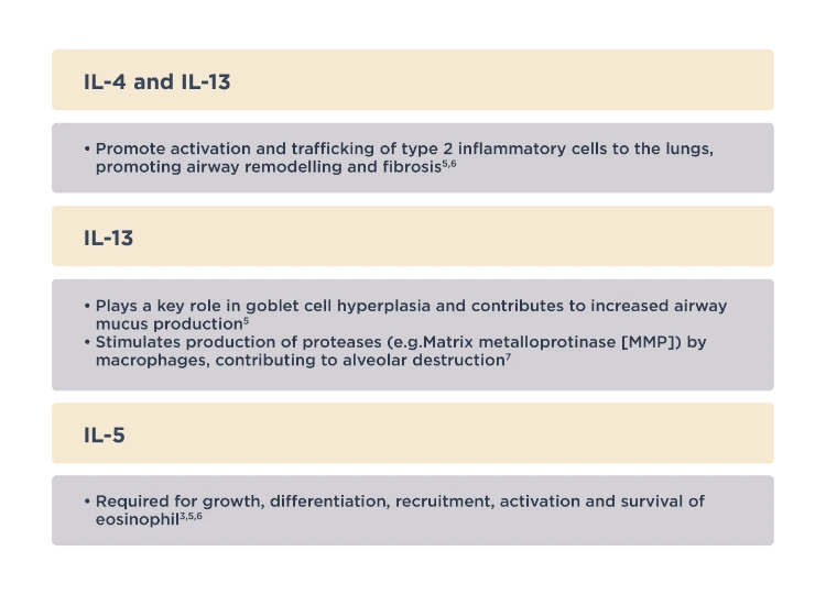 Inflammatory pathways in COPD impacting disease pathobiology and ...