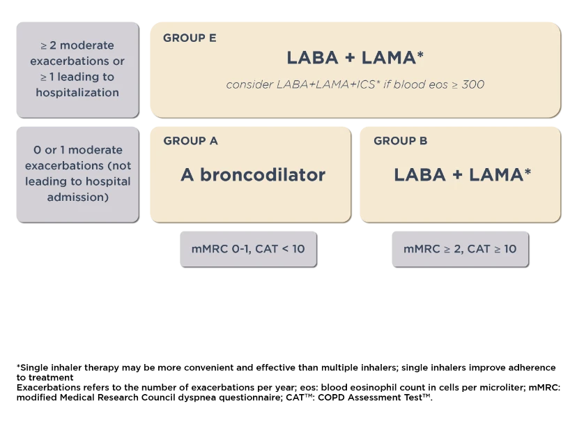 GOLD Treatment Guidelines for COPD│Campus Sanofi