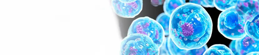 Diagnóstico de ASMD