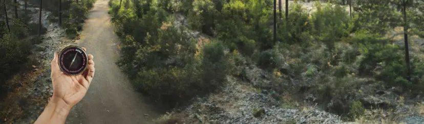 ASMD: diagnóstico, síntomas y manejo del Niemann-Pick